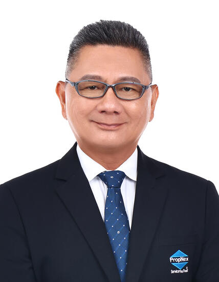 Nicholas Seow, PROPNEX REALTY PTE. LTD., Singapore | Propertyguru.com.sg