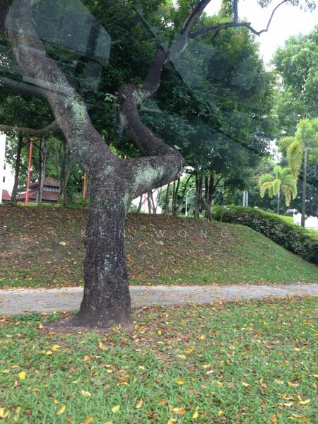 Kapo Factory Building, 80 Playfair Road, 1,754 sqft, Light Industrial ...