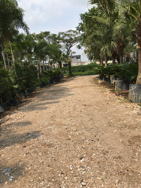Neo tiew agriculture farm land, Sembawang Road, , Land Only For Rent ...