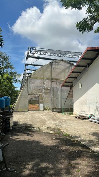 Neo tiew agriculture farm land, Sembawang Road, 50,000 sqft, Land Only ...