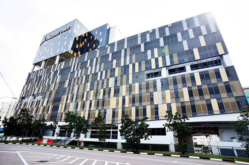 Precise Tree, Singapore