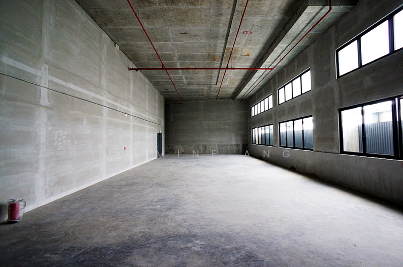 Precise Tree, Singapore