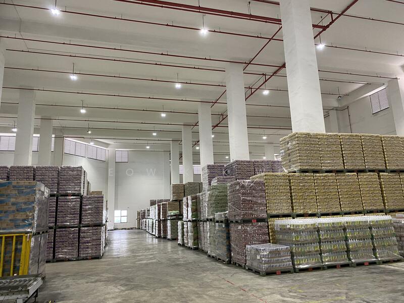 12.5m high 1000 pallet with racking / bare food distribution logistic ...