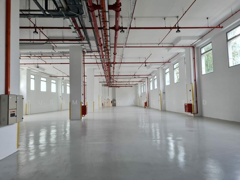 Ground floor direct access to loading bays with 7m high ceiling ...