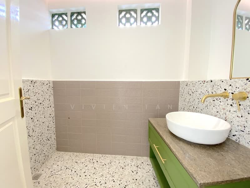 Tras Street Shophouse. Near Tanjong Pagar MRT and Maxwell MRT, Tras ...