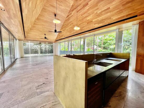 +65946*86782 Ultra modern GCB for rent 最现代,最摩登, Bukit Timah 武吉知马路, 5 ...