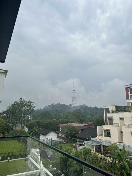 Brand New Semi Detached @ Jalan Selanting with Lift and Pool! (Call ...