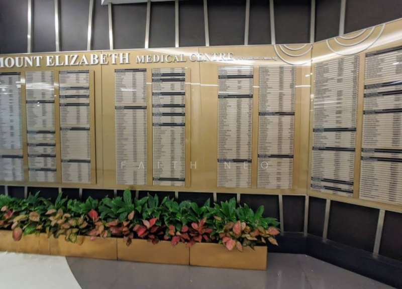 Mount Elizabeth Hospital / Medical Center, 3 Mount Elizabeth, 100 sqft ...