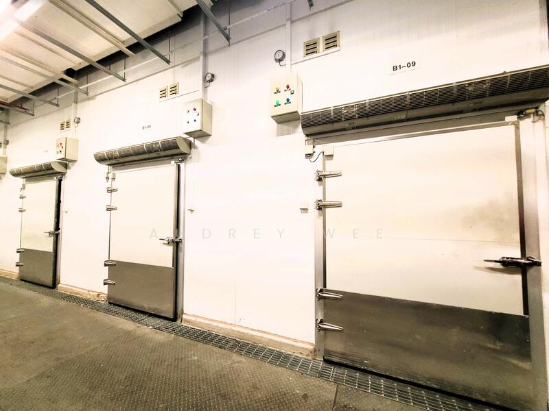 Cold Room/ Chiller / Freezer Facility for rent, , 200 sqft, Light ...