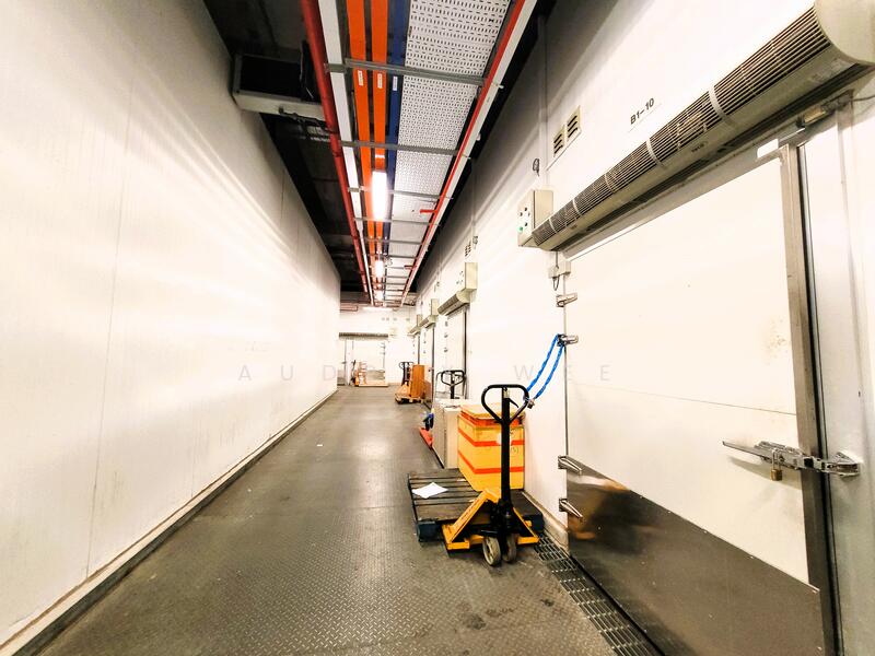Cold Room/ Chiller / Freezer Facility for rent, , 200 sqft, Light ...