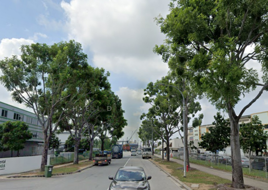 Tuas Crescent, , 25000 sqft, Factory / Workshop (B2) For Rent, by Heidi ...