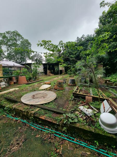 Seletar West Farmway, Seletar West Farmway, 3,500 sqft, Land Only For ...