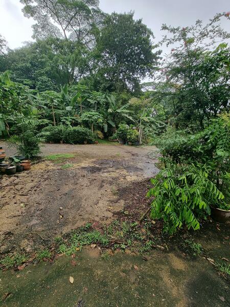 Seletar West Farmway, Seletar West Farmway, 3,500 sqft, Land Only For ...