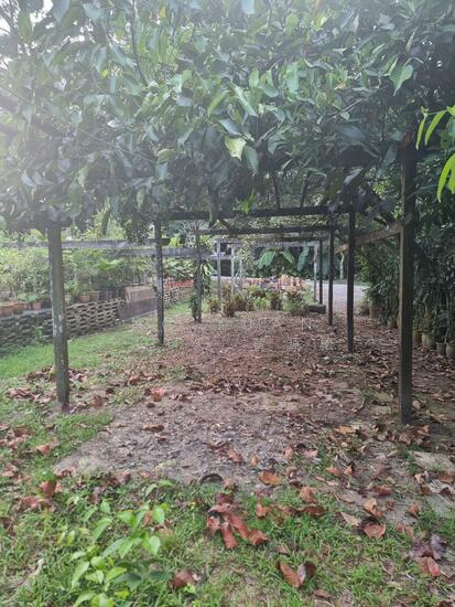 Seletar West Farmway, Seletar West Farmway, 2,100 sqft, Land Only For ...