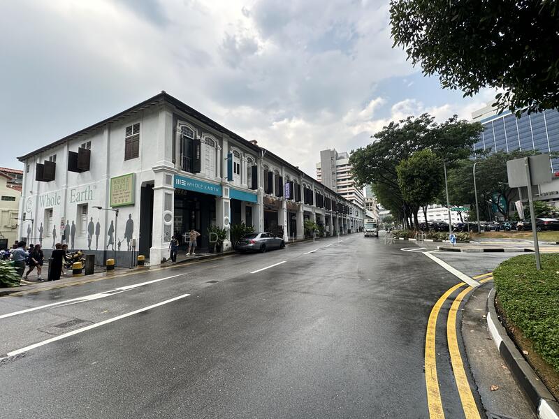 Rare 2 Storey Tras Street / Peck Seah Street Shophouse for Sale!, Tras ...