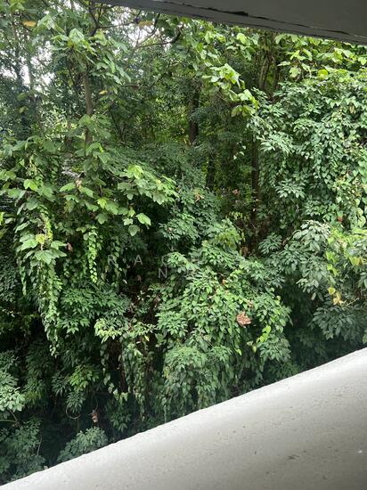 Lam Soon Industrial Building, 63 Hillview Avenue, 2174 sqft, Light ...