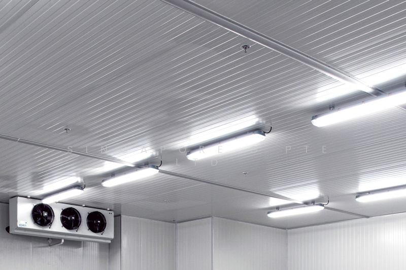 Cold Room/Freezer/Chiller for Rent, 25 Tagore Lane, 280 sqft, Light ...