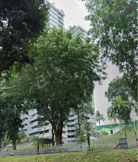 Braddell View Apartment For Sale at S$ 1,800,000 | PropertyGuru Singapore