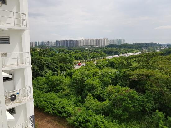 232C Sumang Lane, 232C Sumang Lane, 1 Bedroom, 506 sqft, HDB Flat For ...