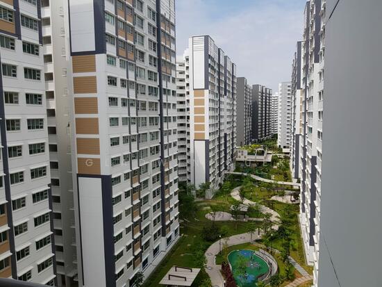 232C Sumang Lane, 232C Sumang Lane, 1 Bedroom, 506 sqft, HDB Flat For ...