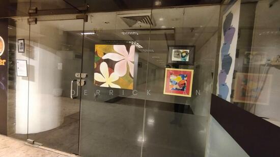 Concorde Shopping Centre, 317 Outram Road, 205 sqft, Other Retail For ...