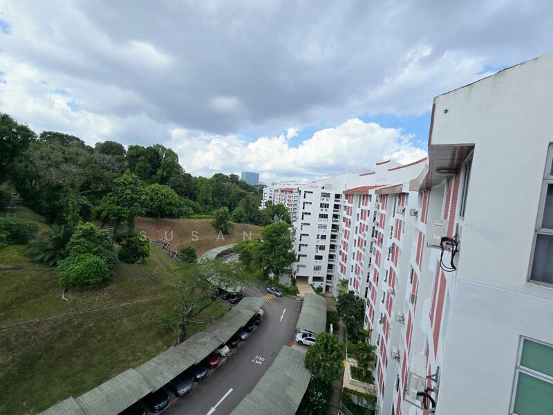 CLEMENTI PARK HIGH FLOOR BEST VIEW WITH LIFT Condominium For Sale at S ...