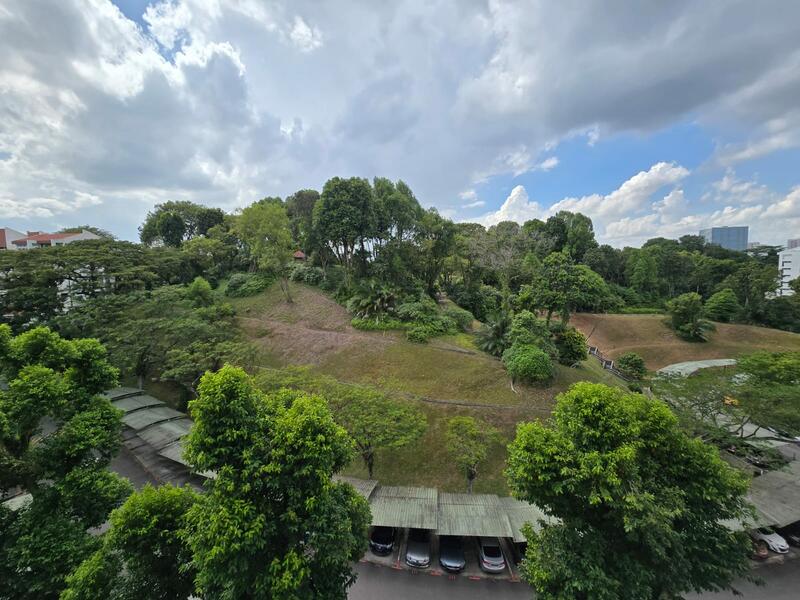 CLEMENTI PARK HIGH FLOOR BEST VIEW WITH LIFT Condominium For Sale at S ...