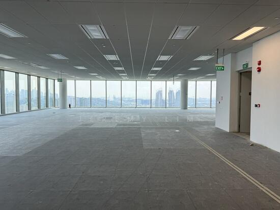 Labrador Tower! Brand New! Various Sizes available!, Various size! w ...