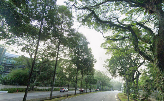 Holland Dempsey Road Vicinity Cluster House For Sale at S$ 5,888,888 ...