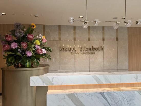 Mount Elizabeth Hospital / Medical Center, 3 Mount Elizabeth, 128 sqft ...