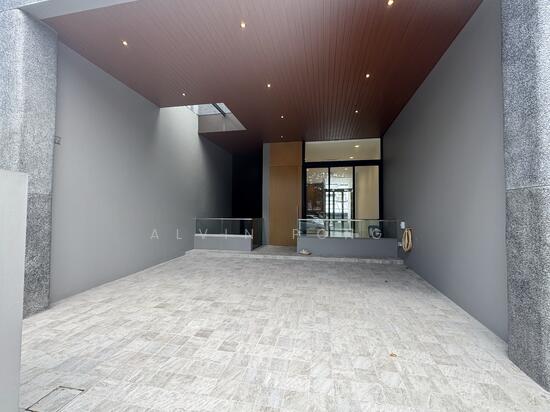 D15 - Brand New Stunning 2.5+Basement Storey Terrace At Siglap, Opera ...