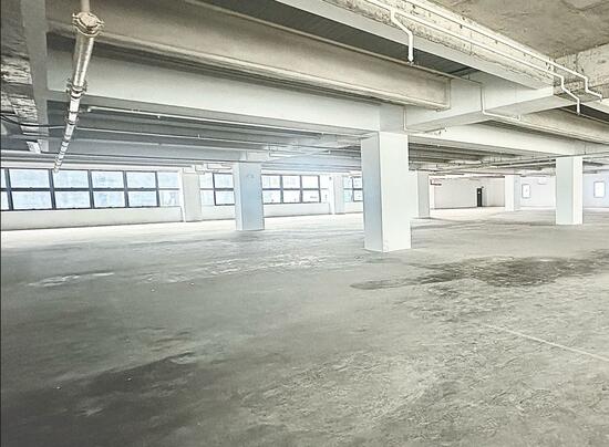 Tai Seng, , 11600 sqft, Factory / Workshop (B2) For Rent, by Christine ...