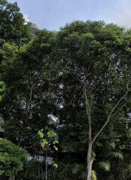 Unlock the Hidden Value of This Prime Bungalow! Bungalow House For Sale ...