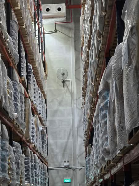 13m Ceiling | 19 Bays | High Floor Loading | Ramp-up Warehouse in the ...