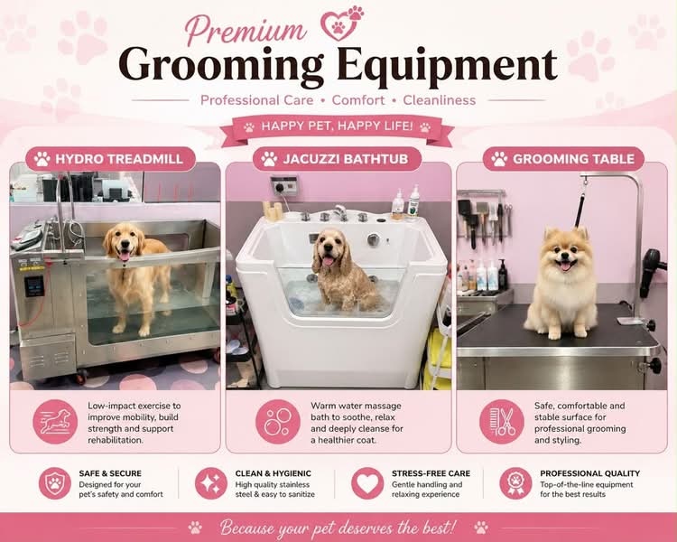 Spacious & Good Location Pet Shop for Takeover @ D20, Thomson road ...