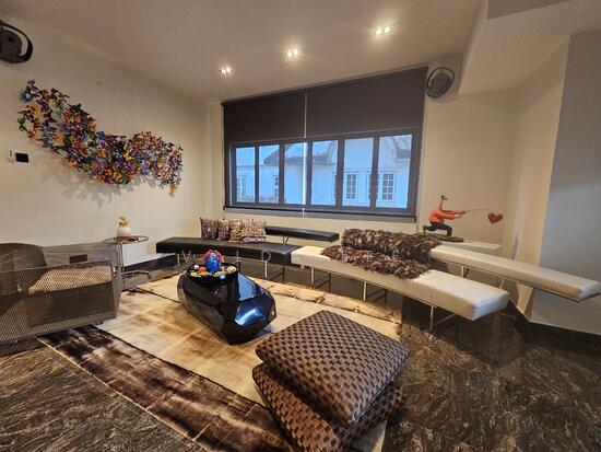 Springleaf Garden Semi-Detached House For Sale at S$ 7,500,000 ...