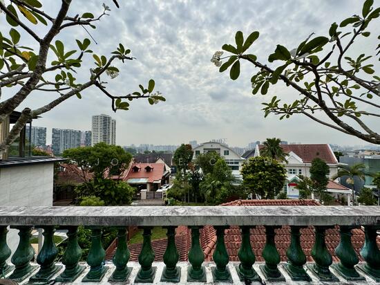 Adelphi Park Estate Detached House For Sale at S$ 8,200,000 ...