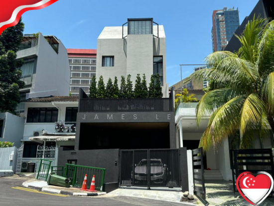 ️Orchard Brand New 3-STY Inter Terrace Terraced House For Sale at S ...