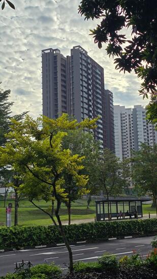 AMO Residence Condominium For Sale at S$ 2,818,000 | PropertyGuru Singapore