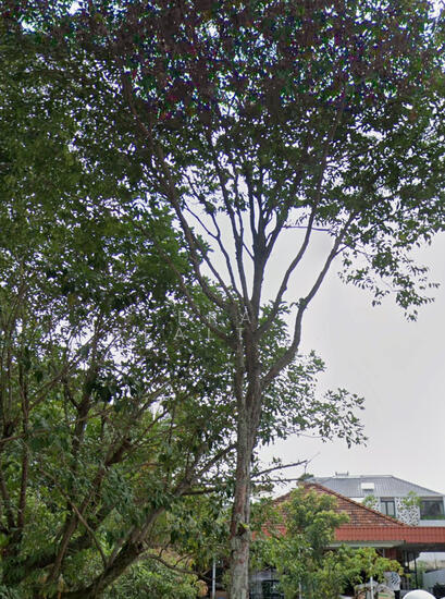 Jansen Road Bungalow House For Sale at S$ 13,800,000 | PropertyGuru ...