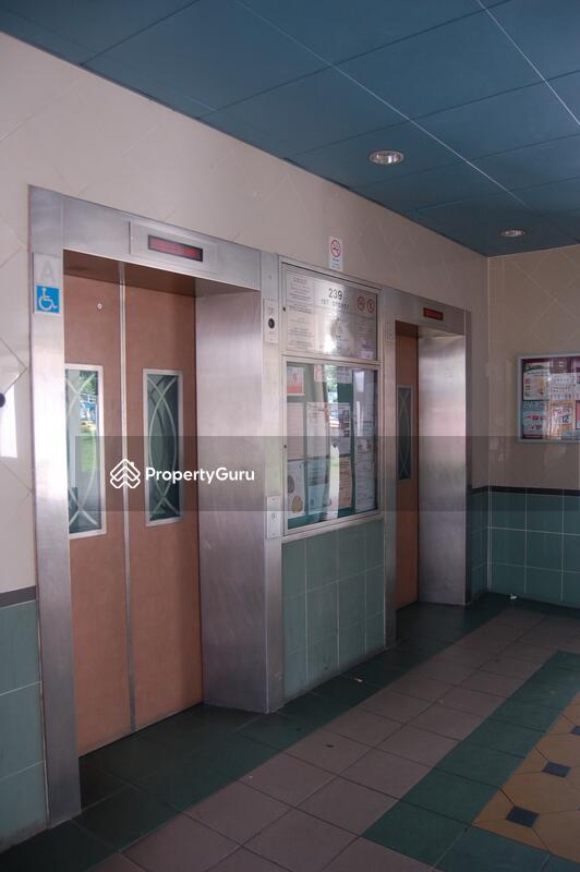 239 Compassvale Walk HDB Details in Hougang / Punggol / Sengkang