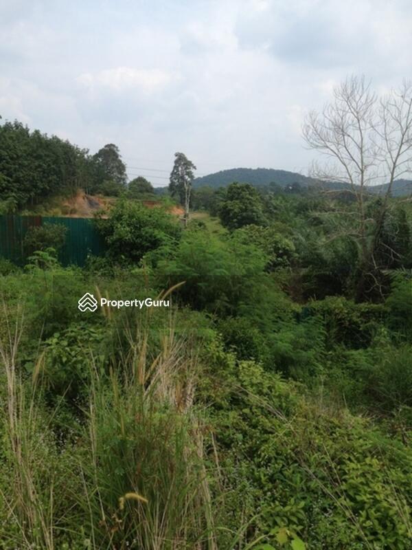 Lukut Light Industrial Park (Agricultural Land) for Sale/Rent, 2025