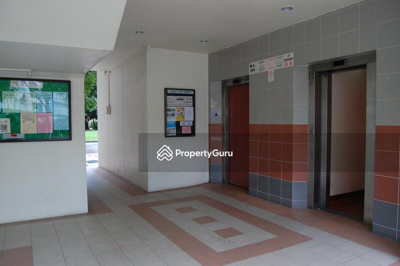555 Pasir Ris Street 51 HDB Details in Pasir Ris / Tampines