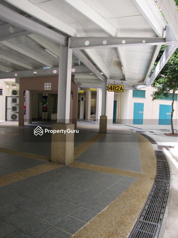 482A Segar Road HDB Details in Dairy Farm / Bukit Panjang / Choa Chu Kang