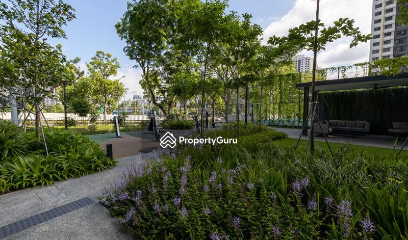 Clavon – Price, Reviews & Availability (2025)