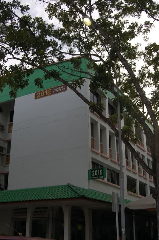 201E Tampines Street 23 HDB Details in Tampines | PropertyGuru Singapore