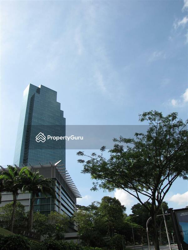 Alexandra Point – Price, Reviews & Availability (2025)