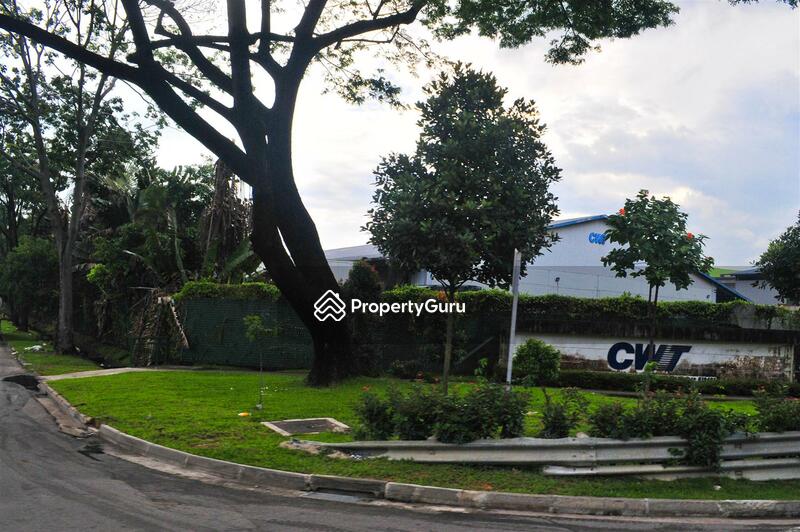 CWT Distripark – Price, Reviews & Availability (2025)