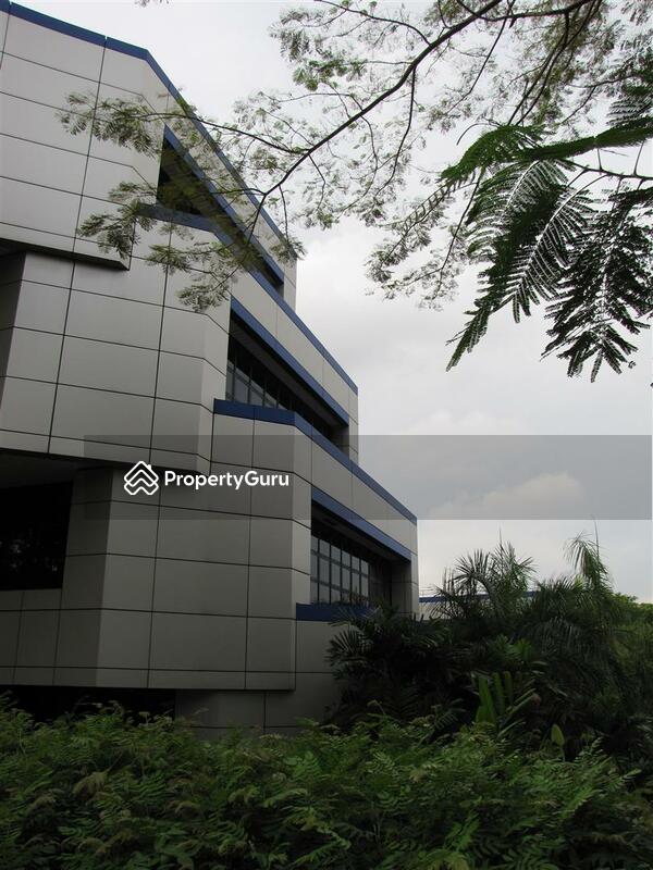 DSTA Building – Price, Reviews & Availability (2025)