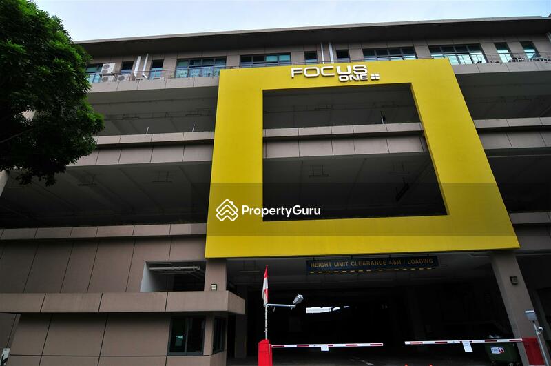 Focus One – Price, Reviews & Availability (2025)